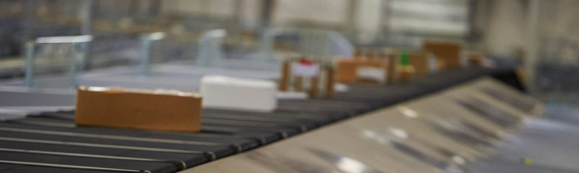 High-Speed Sortation with Green Automated Loop Systems (Case)