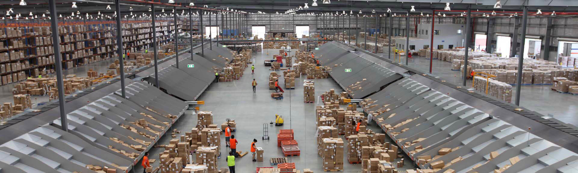 Warehouse Management System (WMS): Integrated & Custom Solutions