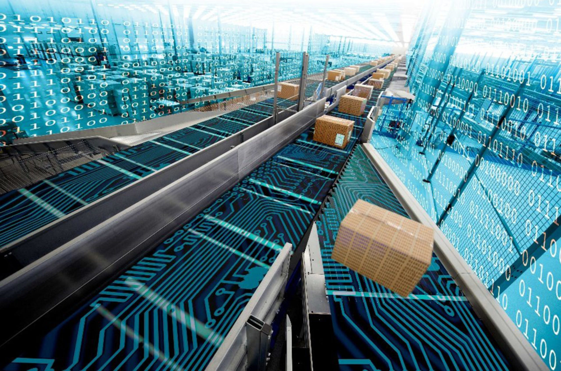 Transform Your Distribution Hub with Digitalisation