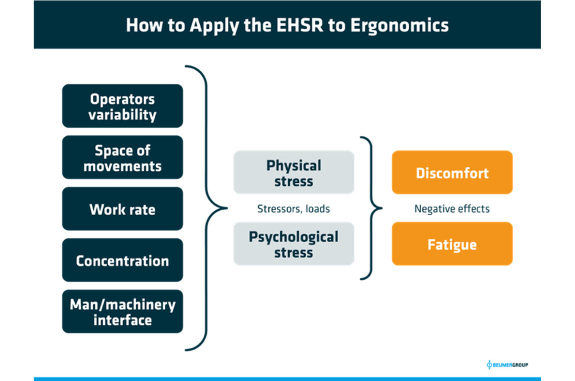 Ergonomics in Distribution: Improving Hub Work Environments