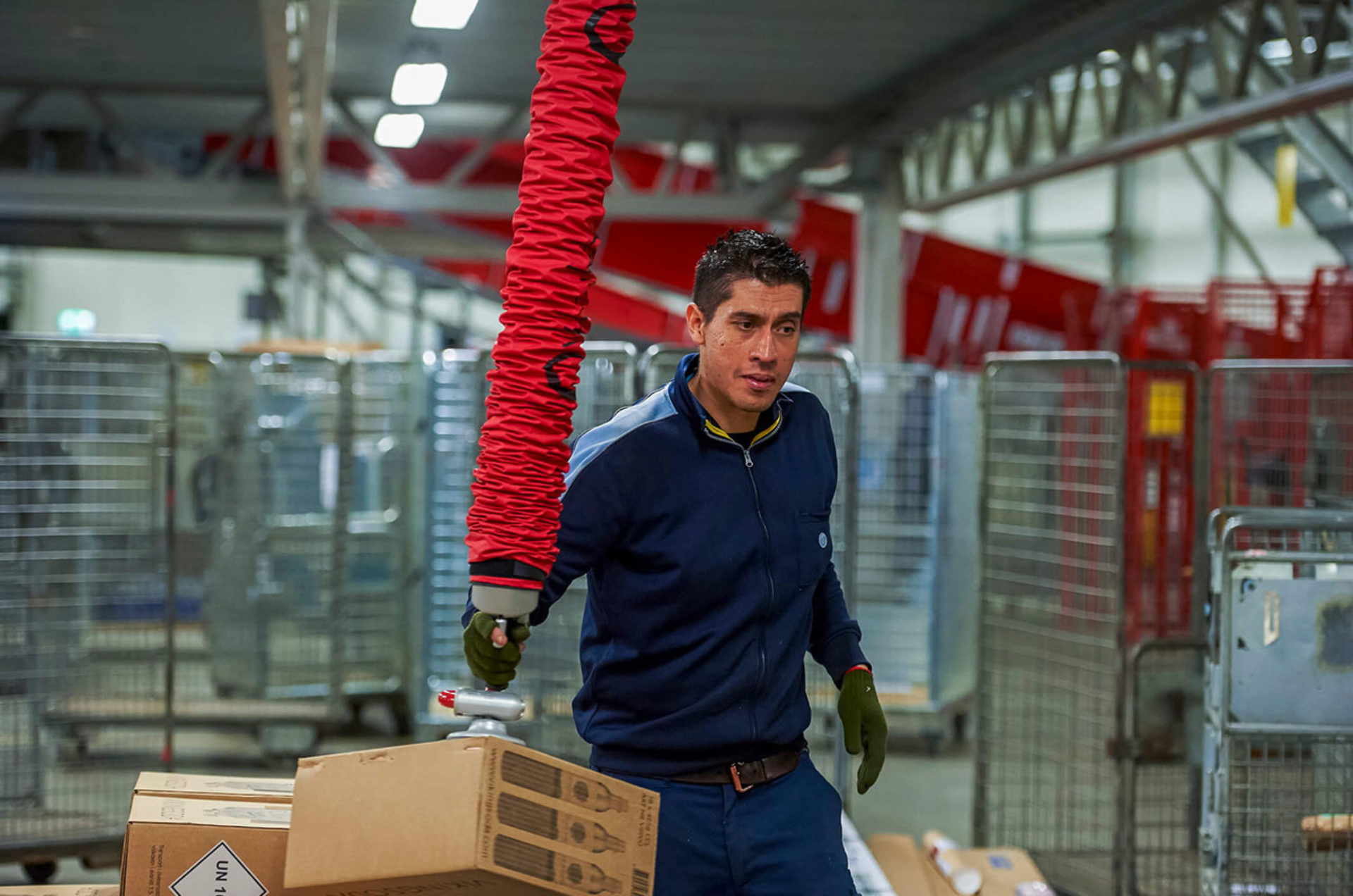 High-Speed Sortation with Green Automated Loop Systems (Case)